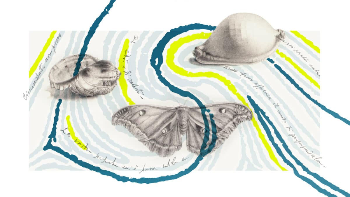 The Essay as Bouquet - Creative Nonfiction